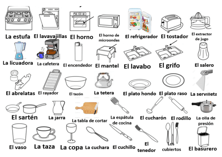 Discover the Parts of the Kitchen in Spanish and Vocabulary